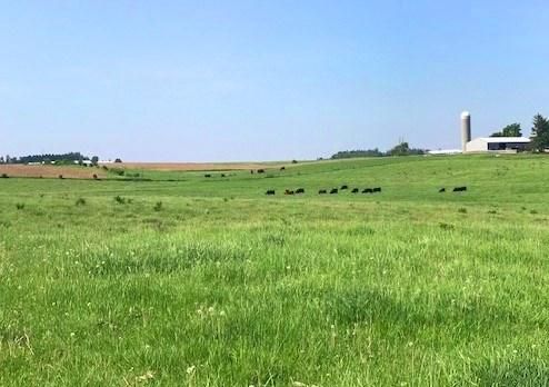 County Road 2, Chatfield, MN 55923 | MLS: 4085888 | Land and Farm