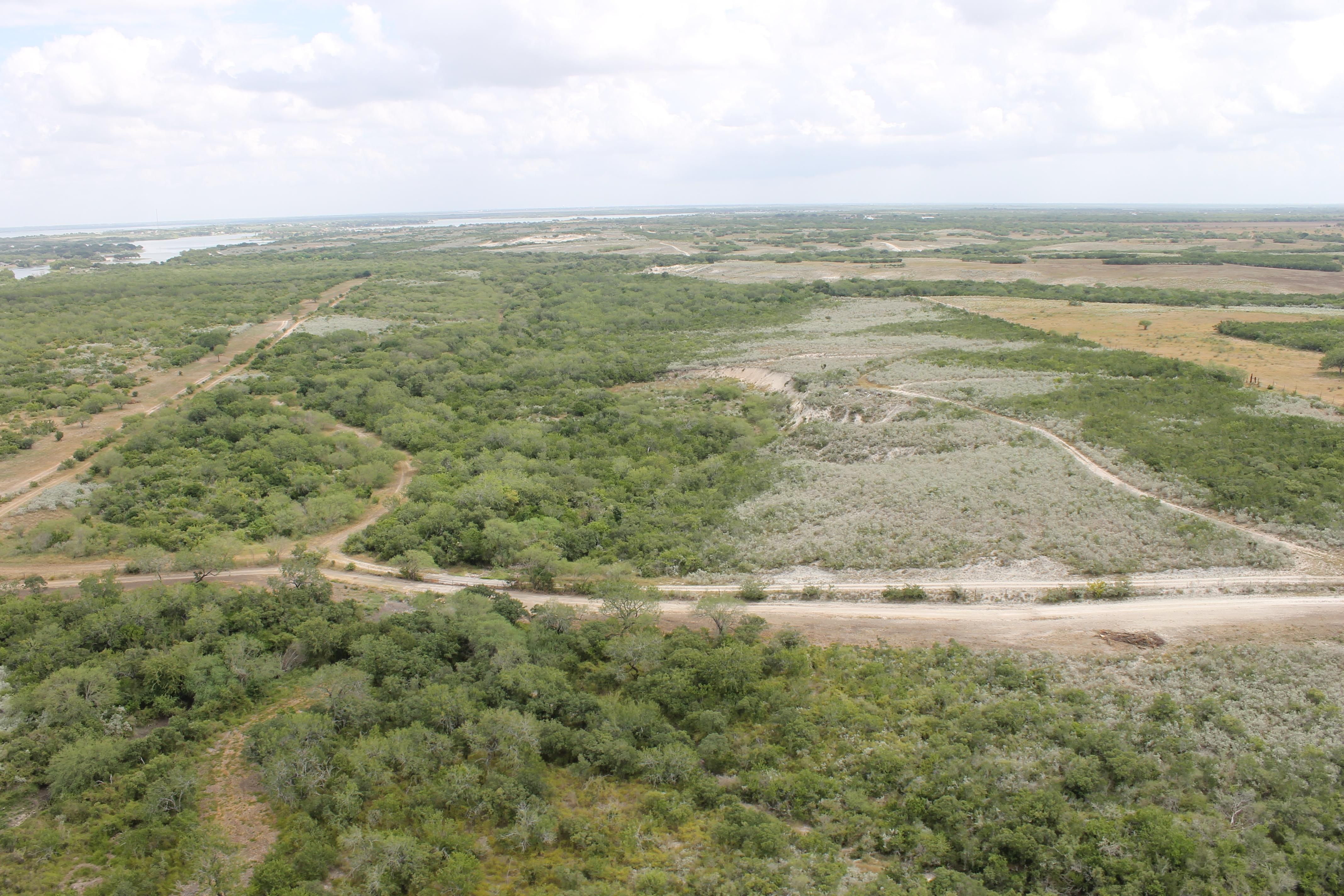 FM 534, Sandia, TX 78383 | MLS: 334865 | Land and Farm