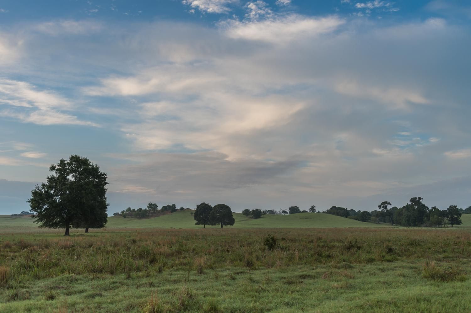 23857 CR 241, Oakwood, TX 75855 | MLS: KB Carter Ranch | Land and Farm