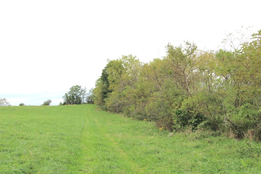 20.39 Acres, Workman Rd, Mount Perry, OH 43760 | Land and Farm
