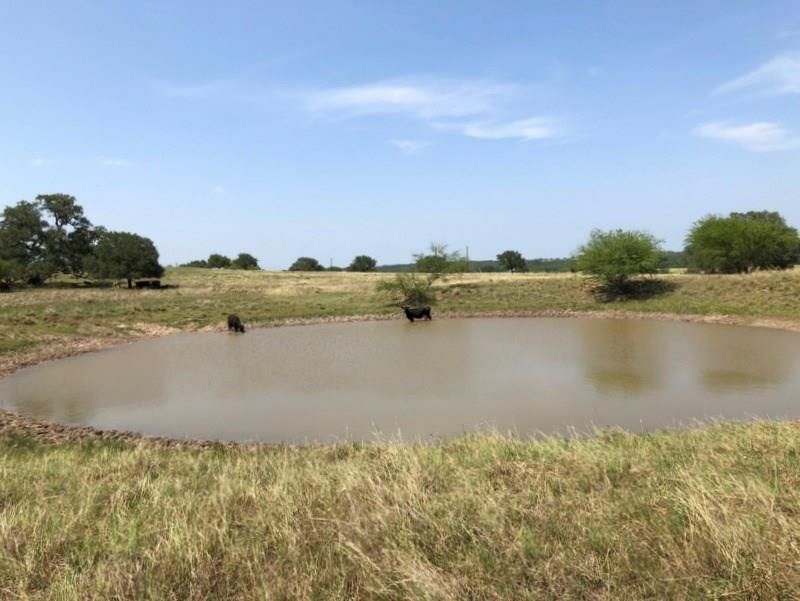 44.88 Acres, 8140 FM 1726, Goliad, TX 77963 | Land and Farm