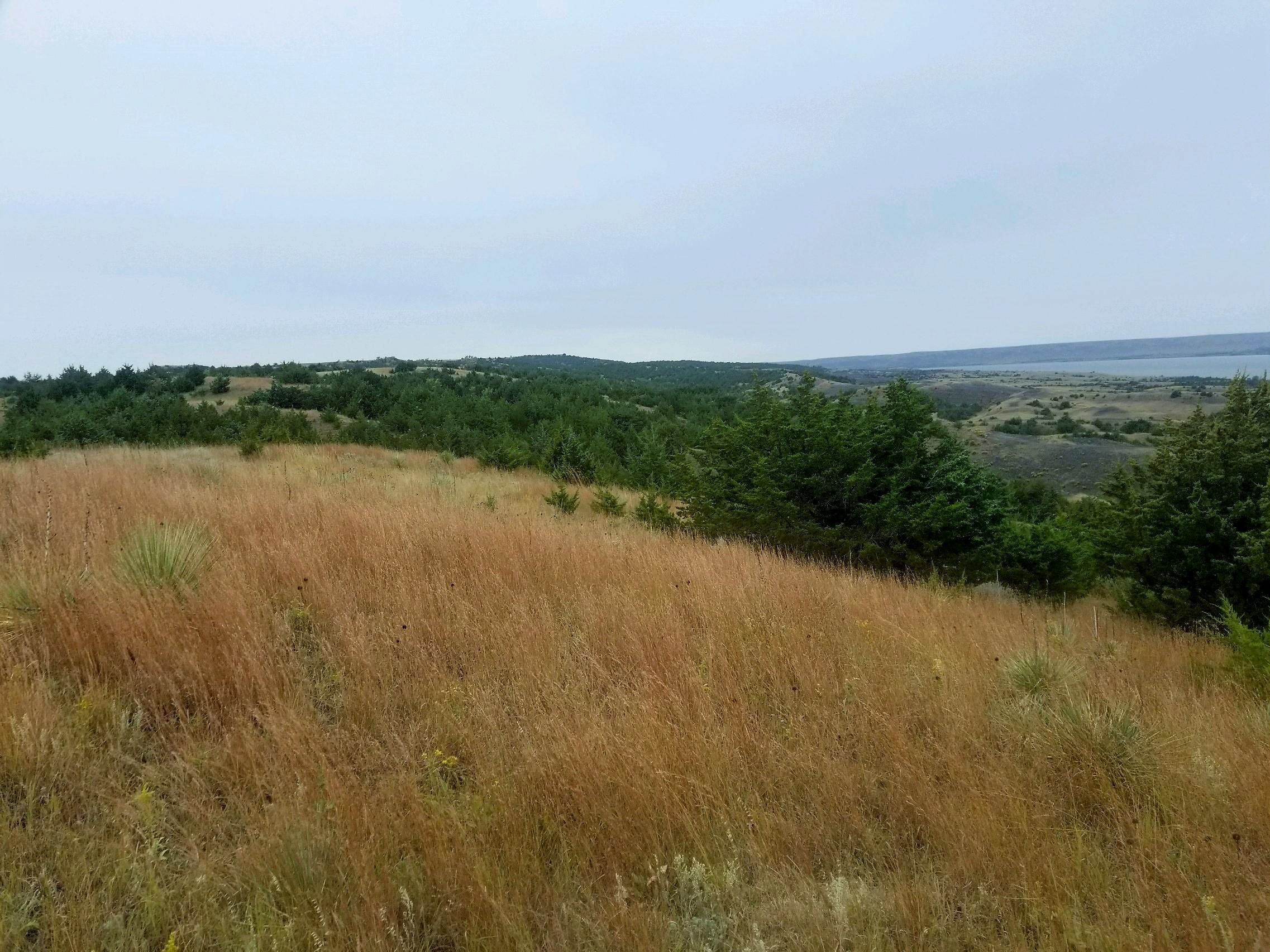 230 acres in Fort Thompson, SD, 57339 | Land and Farm