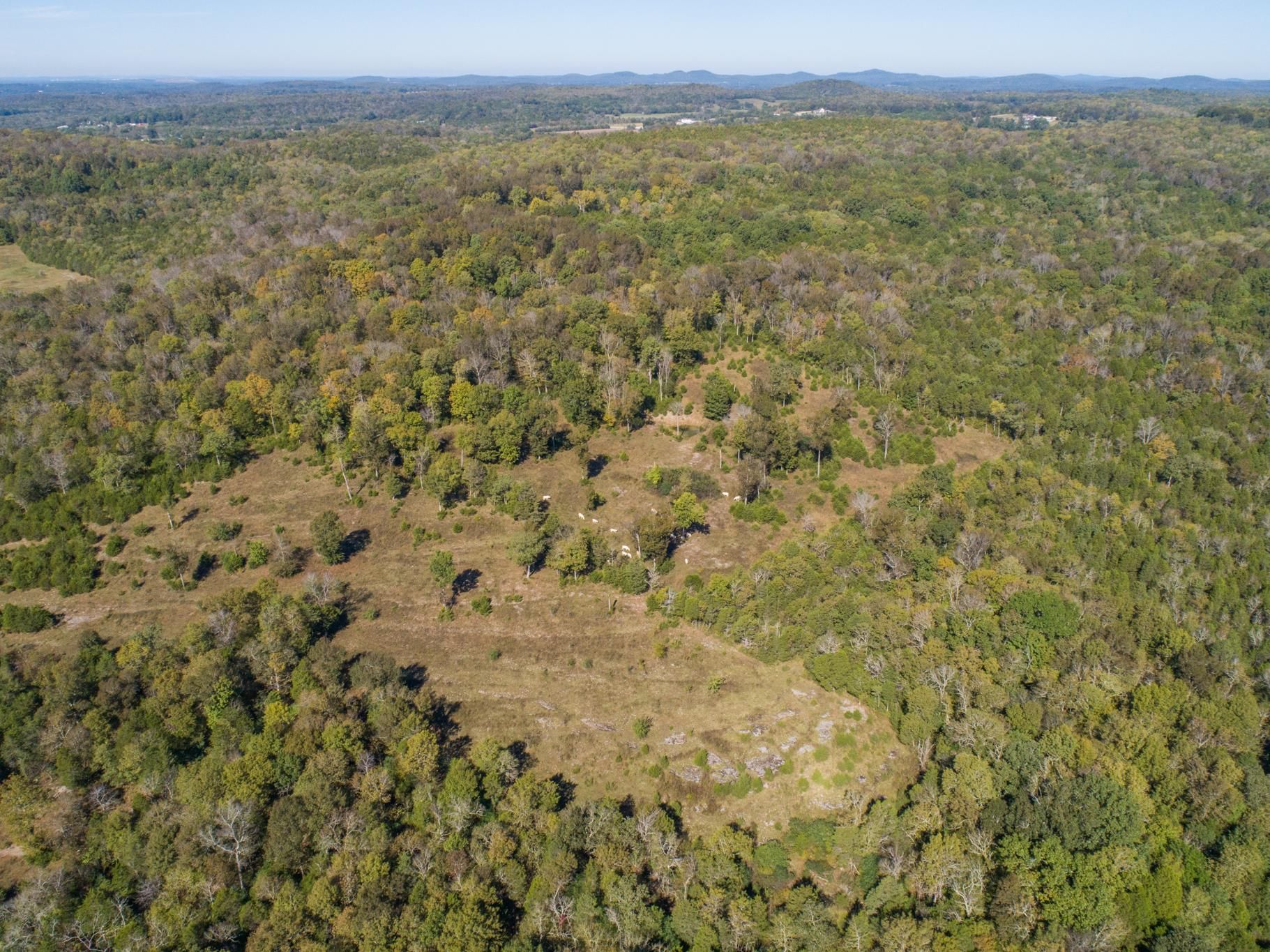 74 Acres, 9548 Halls Hill Pike, Milton, TN 37118 | Land and Farm