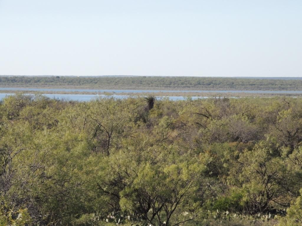 372.27 acres in Voss, TX, 76834 | Land and Farm