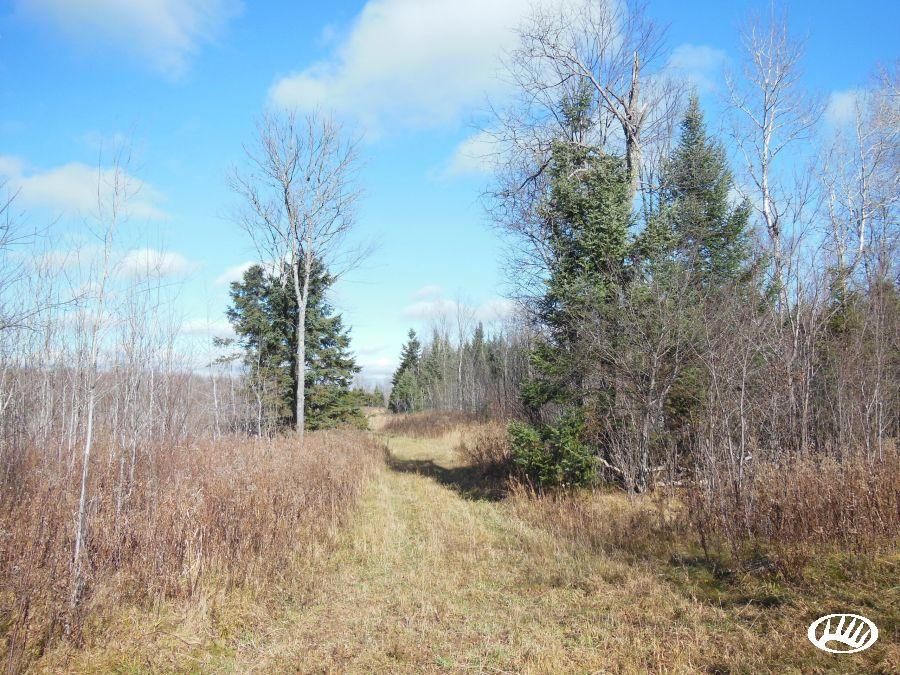 County Highway H, Lot#WP01, Gleason, WI 54435 | Land and Farm