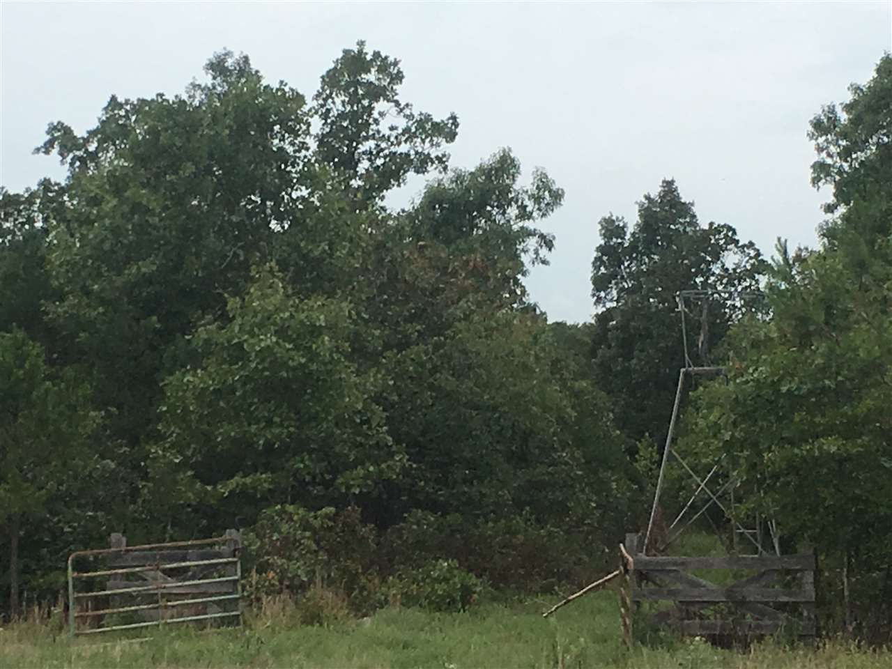 65 Acres, 65 acres CR 240, Ellsinore, MO 63937 | Land and Farm