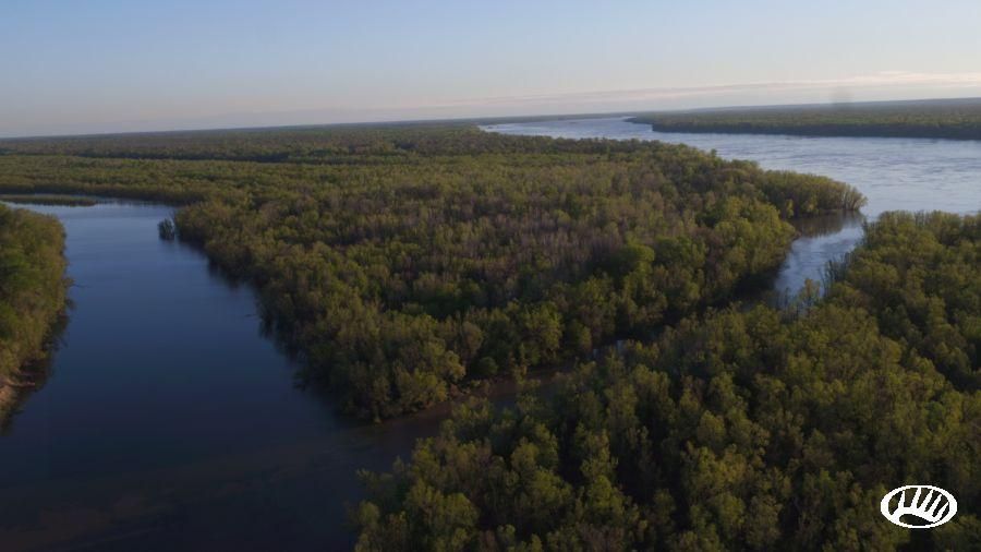 Centennial Road, Frenchmans Bayou, AR 72338 | Land and Farm