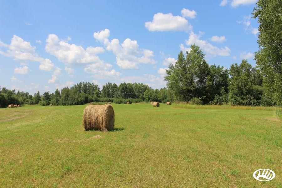Beck Road, Warba, MN 55793 | Land and Farm