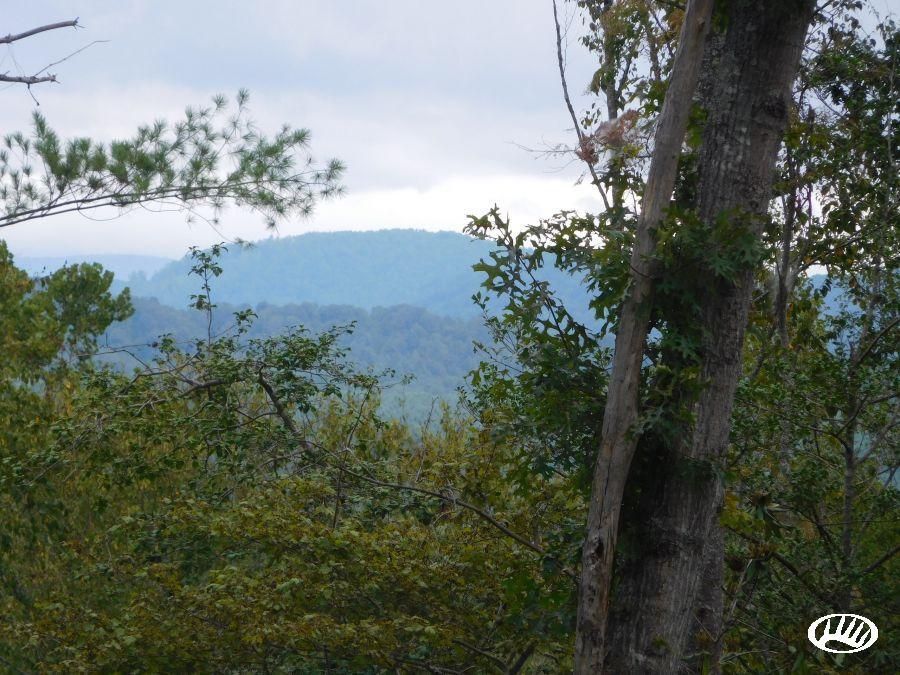 4885 Grandin Road, Lenoir, NC 28645 | Land and Farm