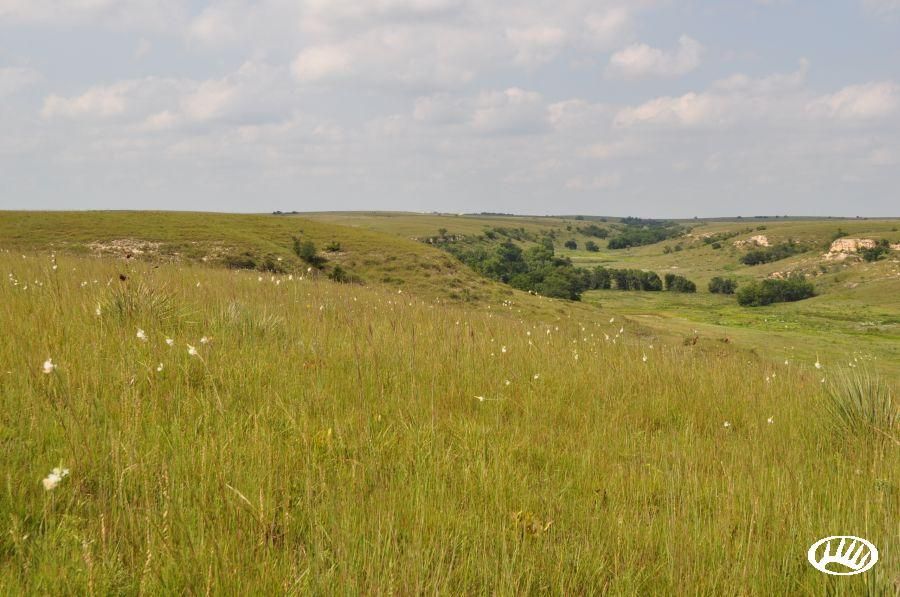 Codell Road, Plainville, KS 67663 | Land and Farm