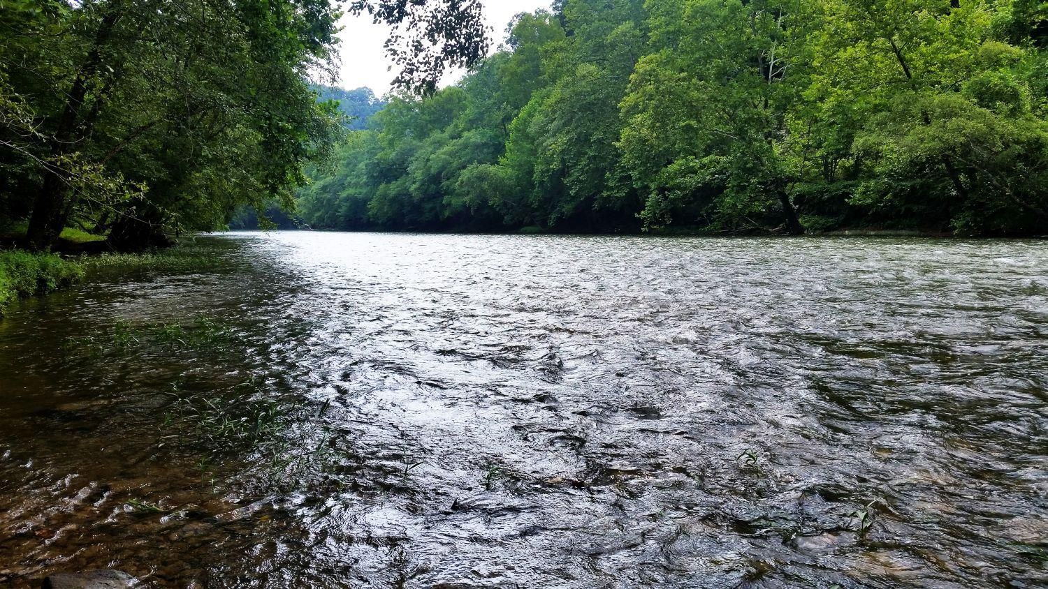 1177 Ivydale Ridge Road, Ivydale, WV 25113 | MLS: Berry Farm | Land and ...