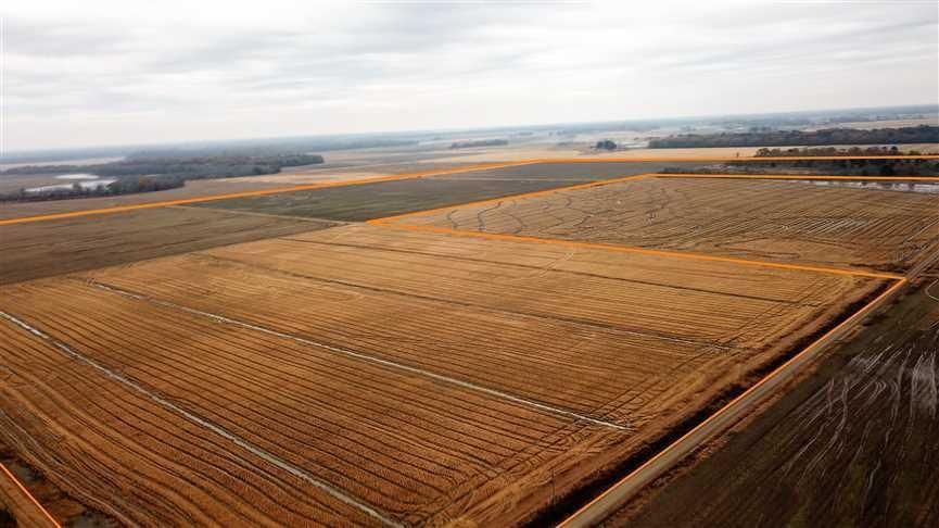 Hwy 366, Clarendon, AR 72029 | Land and Farm