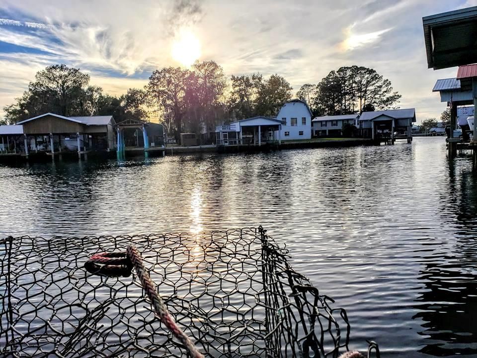 0.22 Acres, 170 884 Ave, Suwannee, FL 32692 | Land and Farm