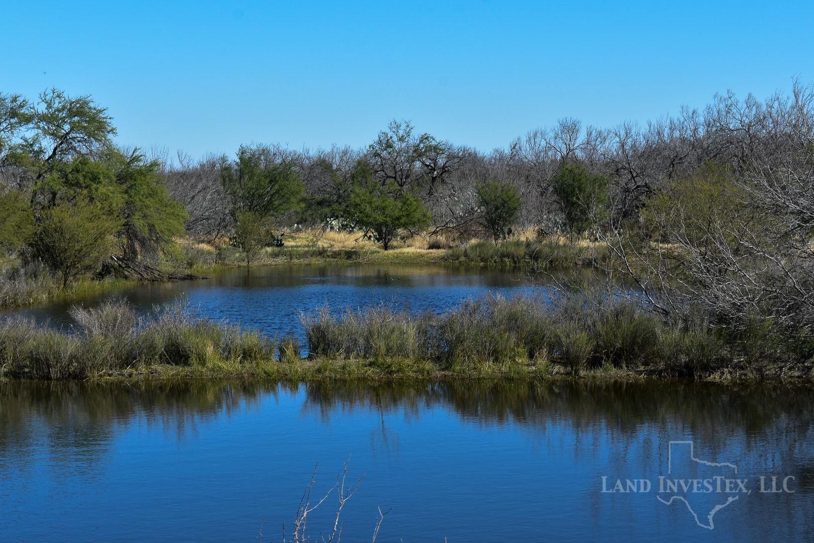 66 Acres, Carrizo Springs, TX 78834 | Land and Farm