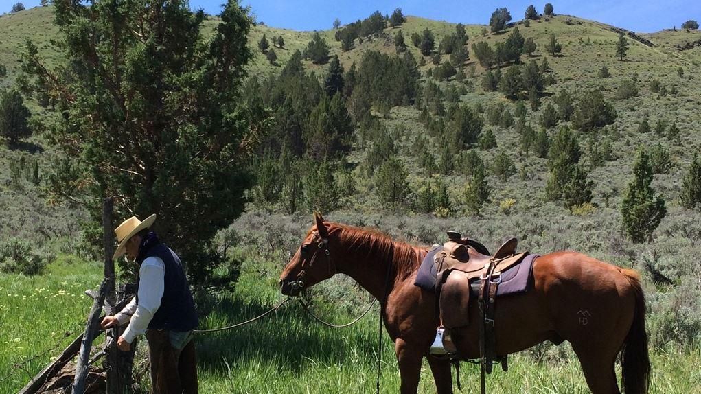 48380 Izee-Paulina Lane, Canyon City, OR 97820 | MLS: K82919 | Land and ...