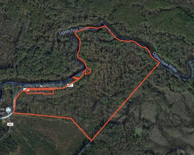 93 Acres, 496 Williams Landing Road, Statesboro, GA 30461 | Land and Farm