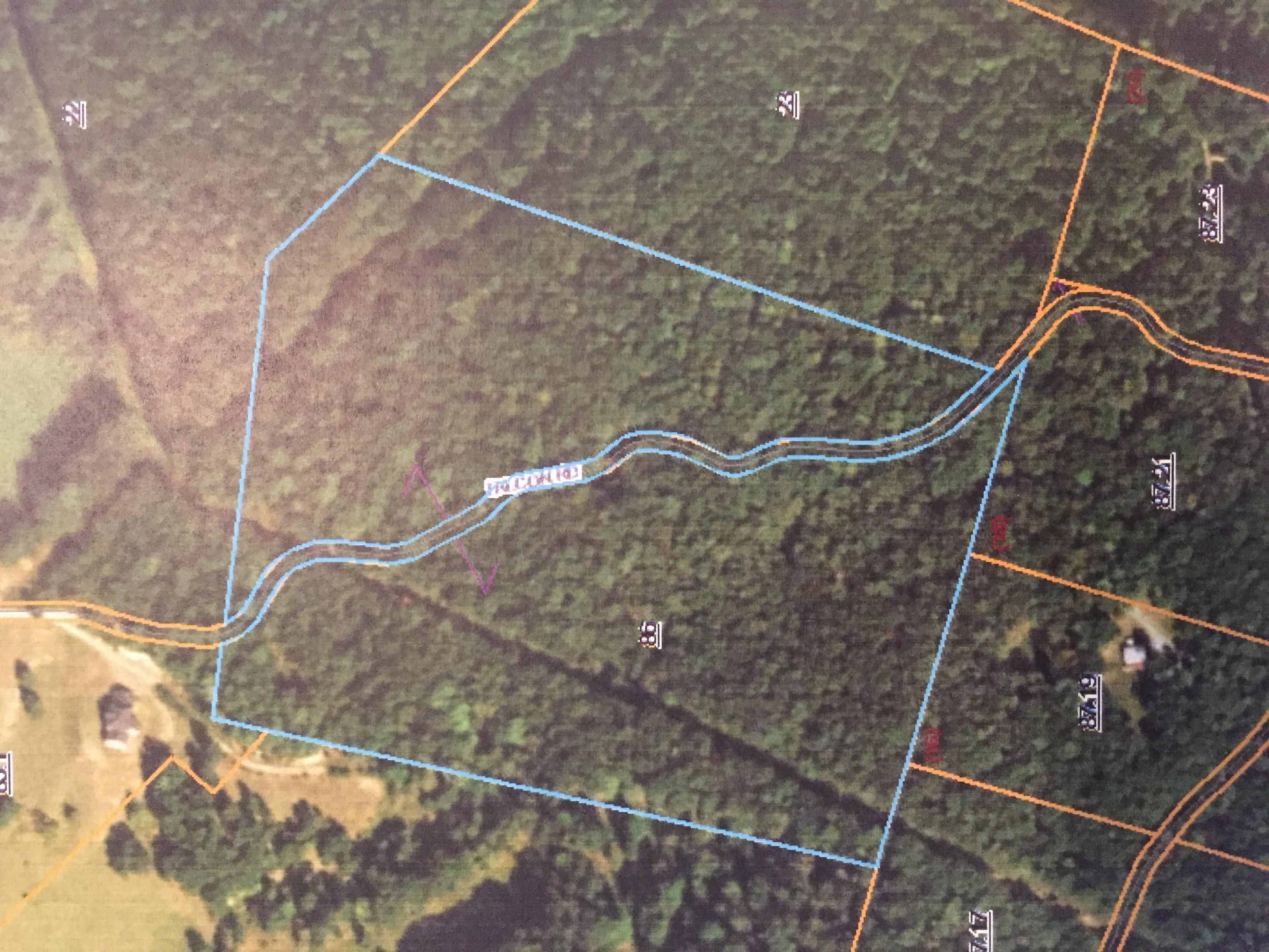 FALCON ROAD, Mathias, WV 26812 | MLS: WVHD105782 | Land and Farm