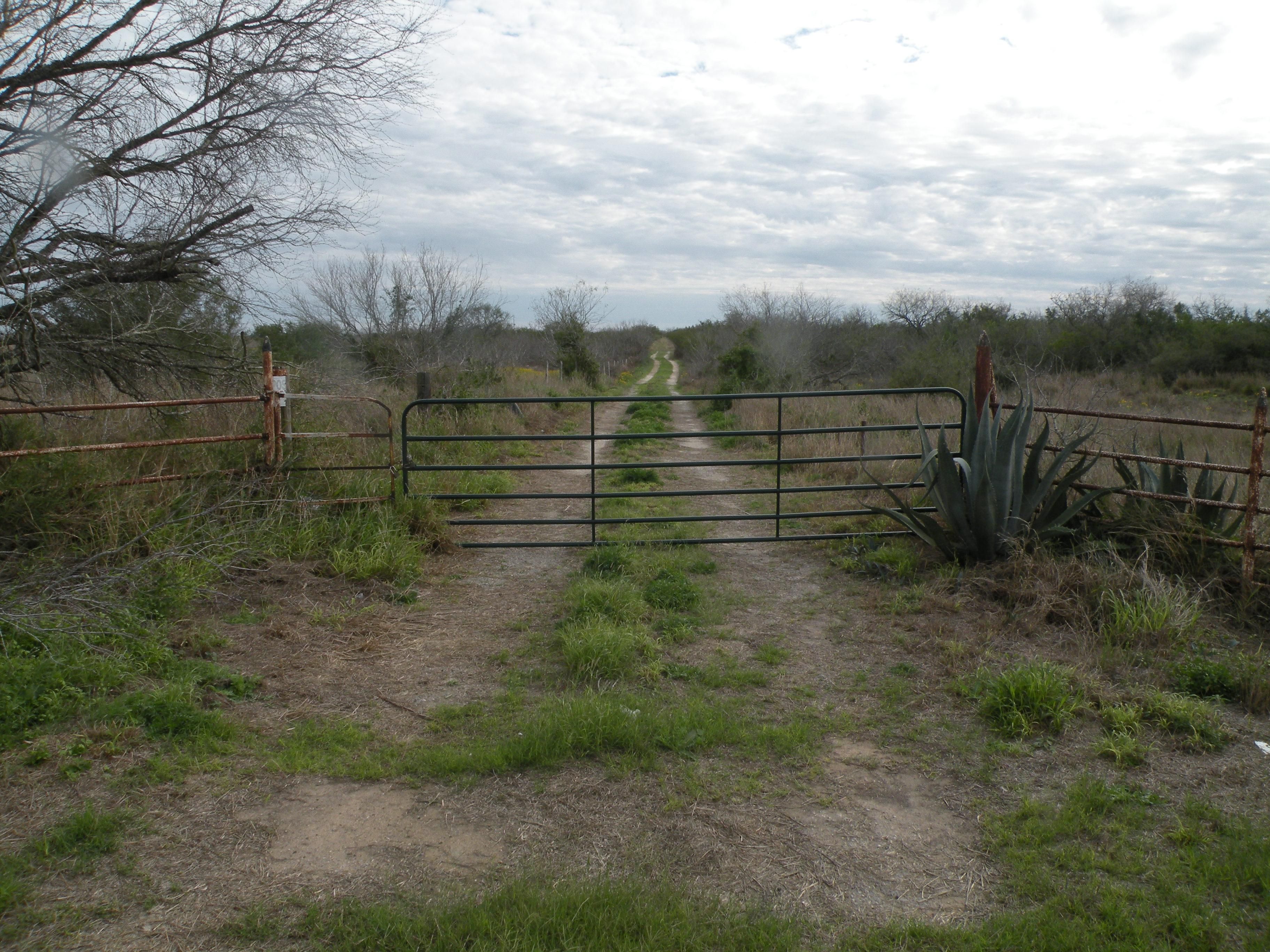 167 Acres, Encino, TX 78353 | Land and Farm