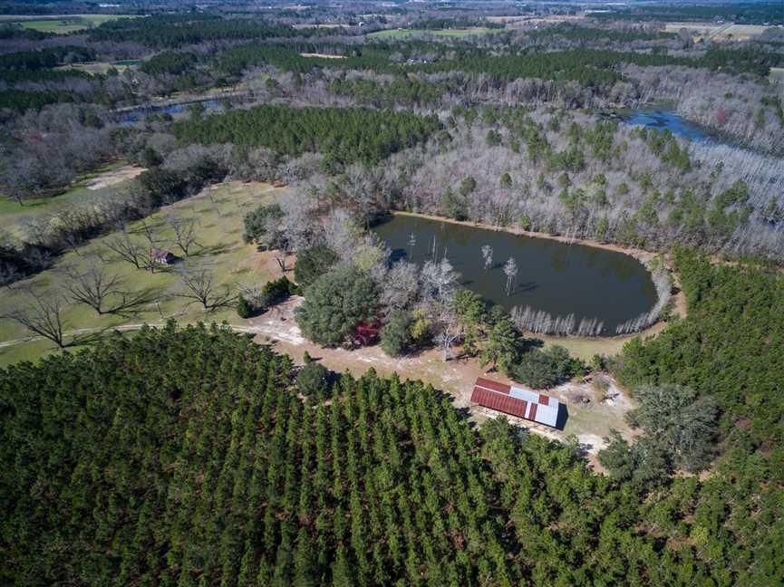 John Brewton Rd, Glennville, GA 30427 | Land and Farm