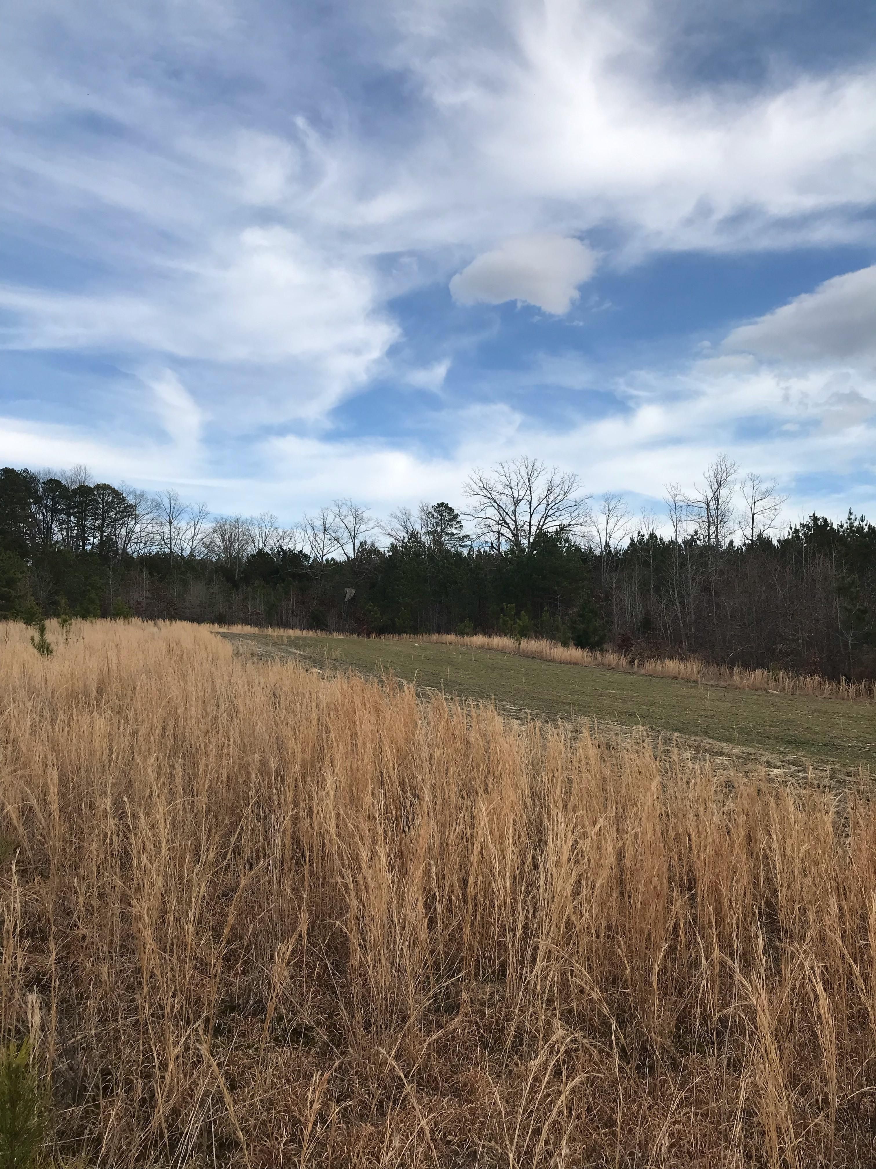 Strother Road, Union, SC 29379 | MLS: 214000 | Land and Farm