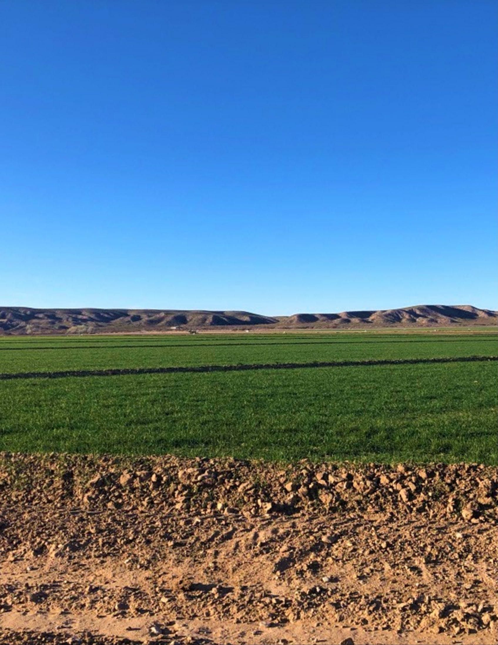 169.58 Acres, Garfield, NM 87936 | Land and Farm