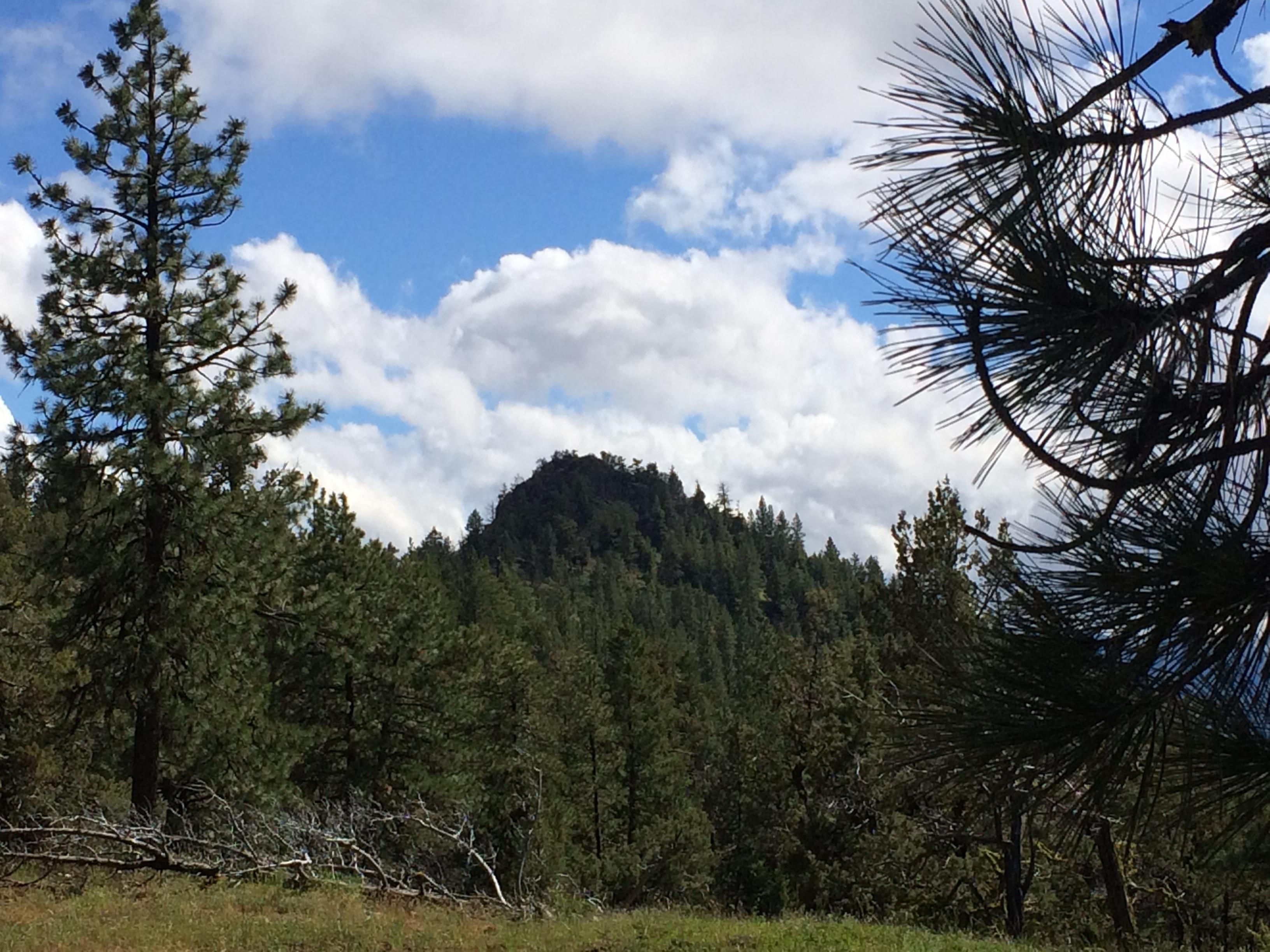 640 acres in Mount Vernon, OR, 97865 | Land and Farm