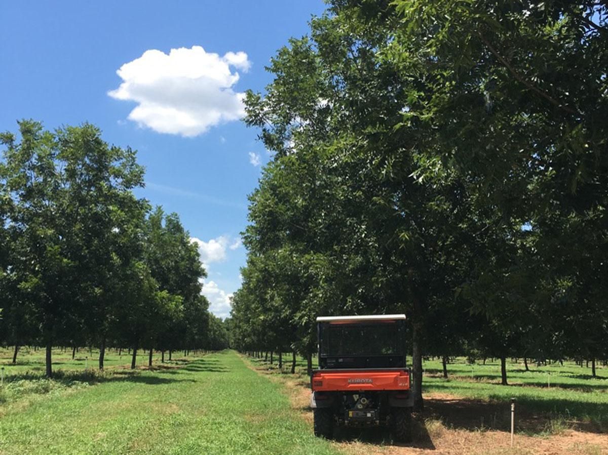 1425 N 4150 Rd, Hugo, OK 74743 | Land and Farm