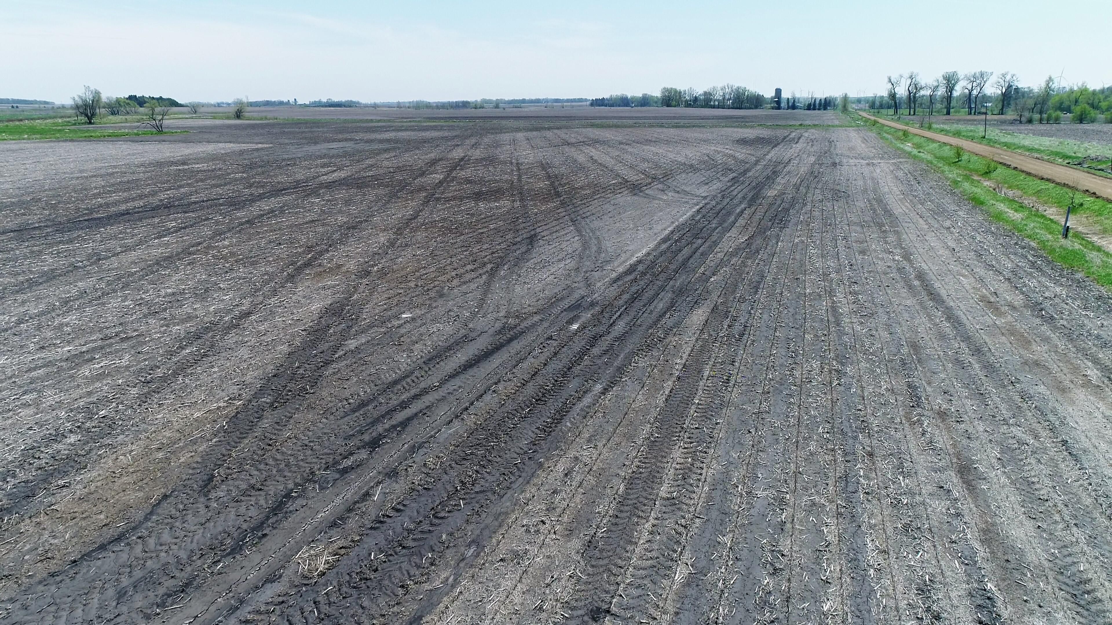 151.5 acres in Arco, MN, 56113 | MLS: 22219 | Land and Farm