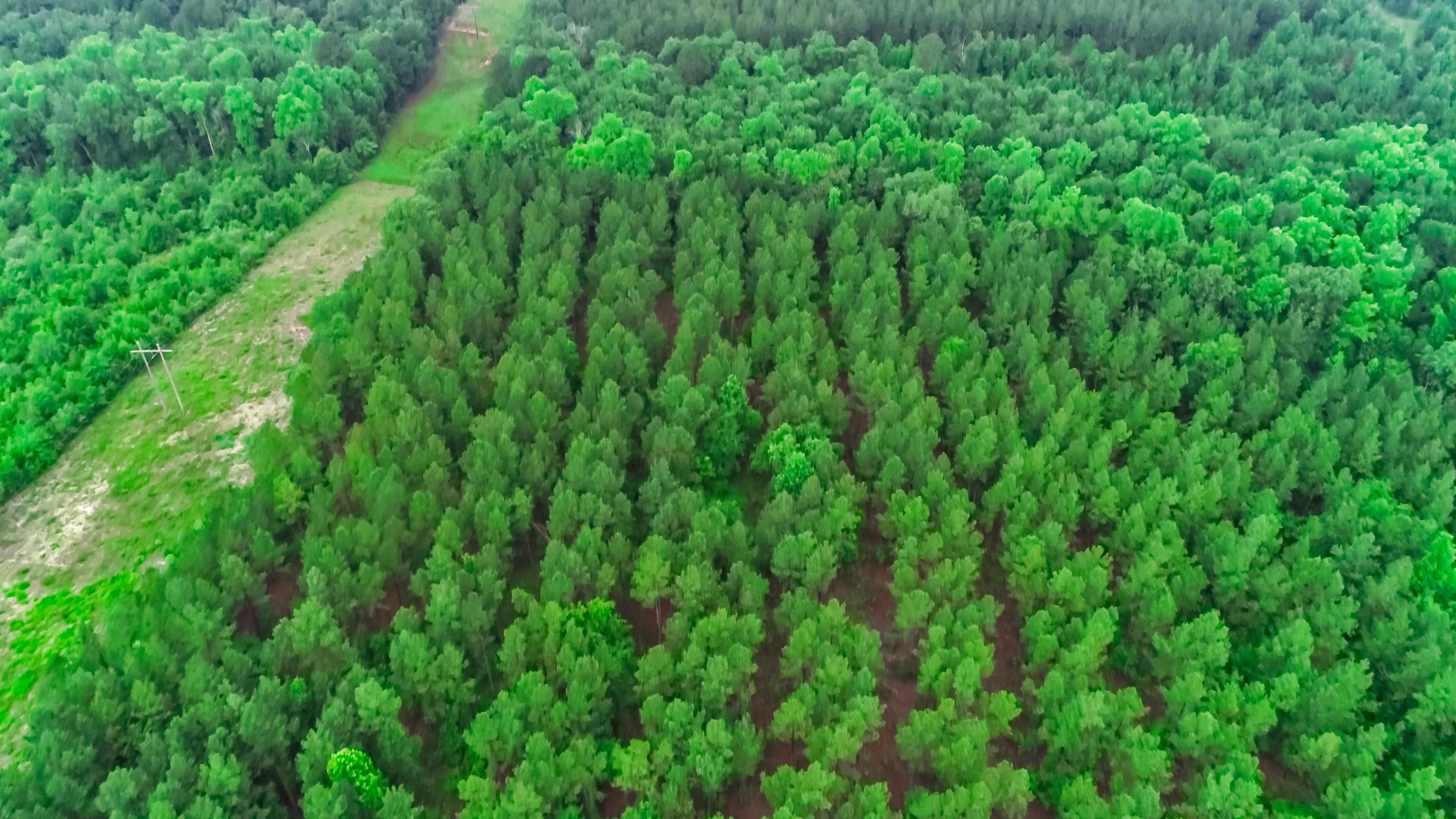 New Bridge Road, Aiken, SC 29805 | Land and Farm