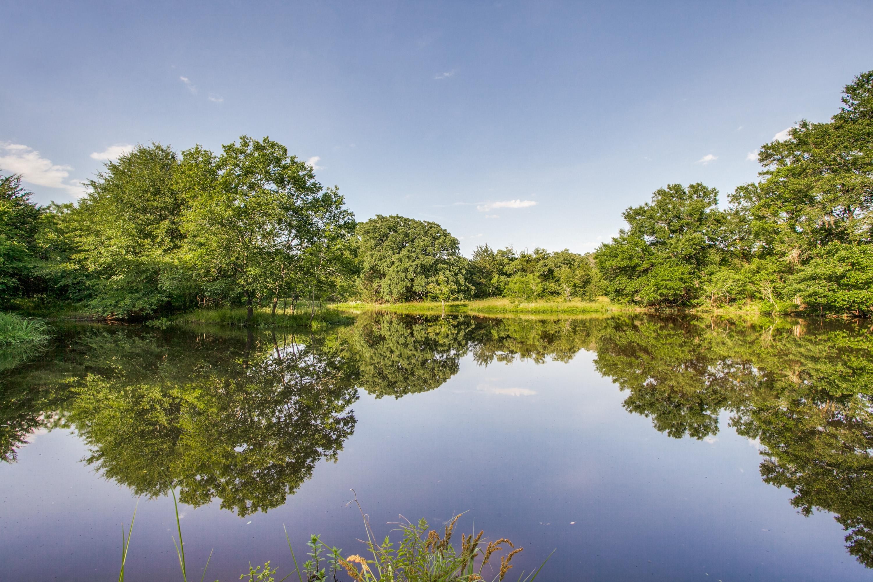 Farm to Market Road 1129, Chatfield, TX 75105 | Land and Farm