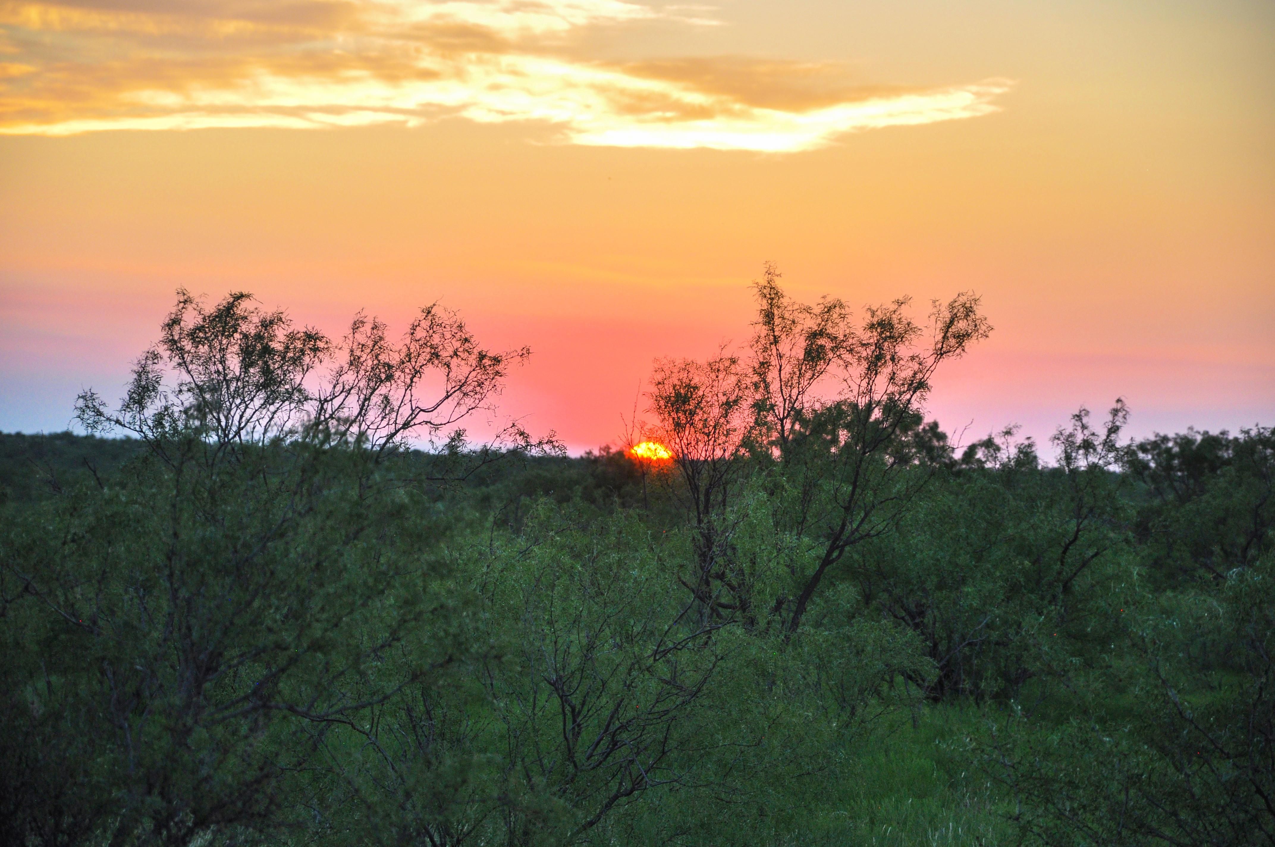 320.47 acres in Vincent, TX, 77707 | Land and Farm