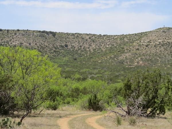 43.37 acres in Edith, TX, 76945 | Land and Farm