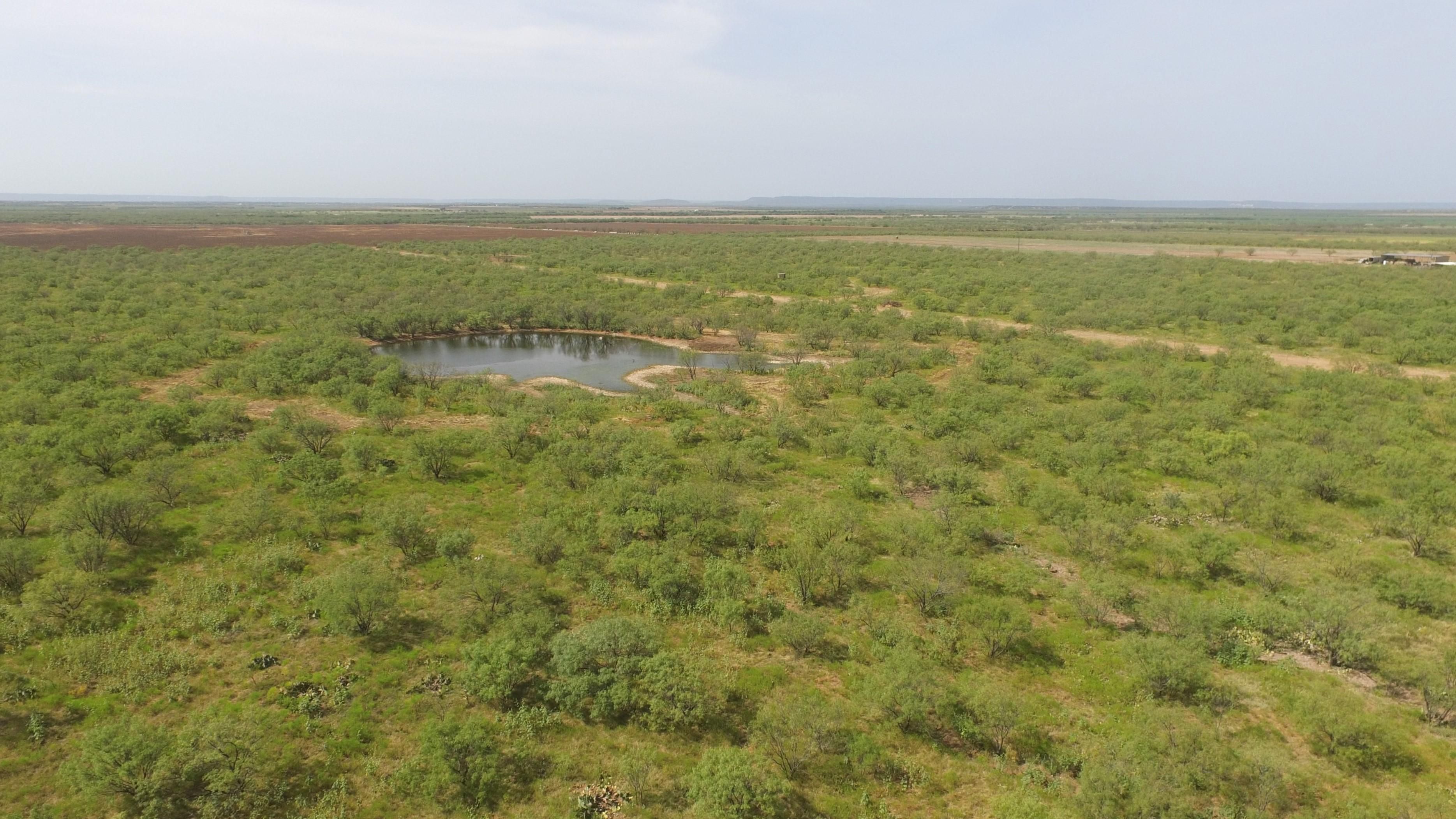 62.14 Acres, Co Rd 440, Merkel, TX 79536 | Land and Farm