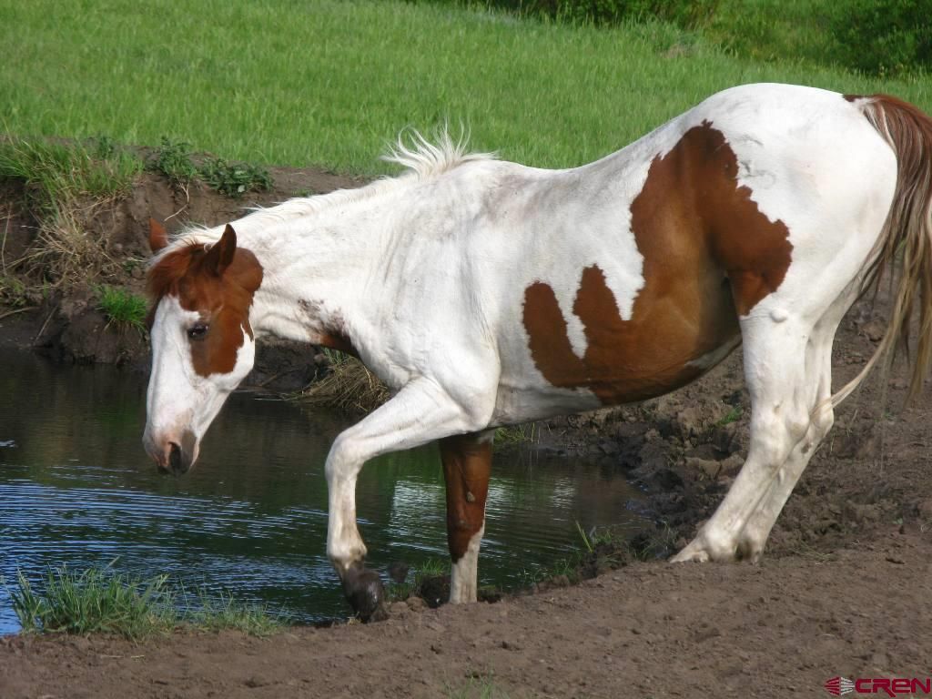 600 County Road 139, Hesperus, CO 81326 | MLS: 751168 | Land and Farm