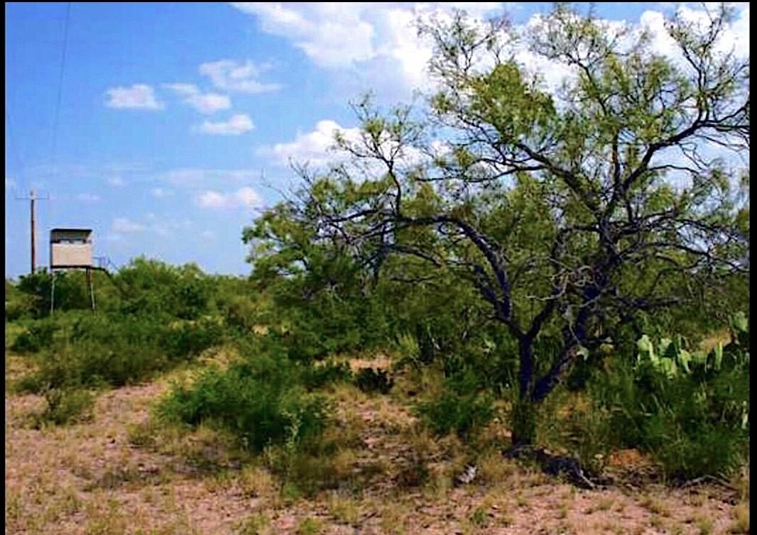 State Hwy 131, Spofford, TX 78832 | MLS: 105927 | Land and Farm