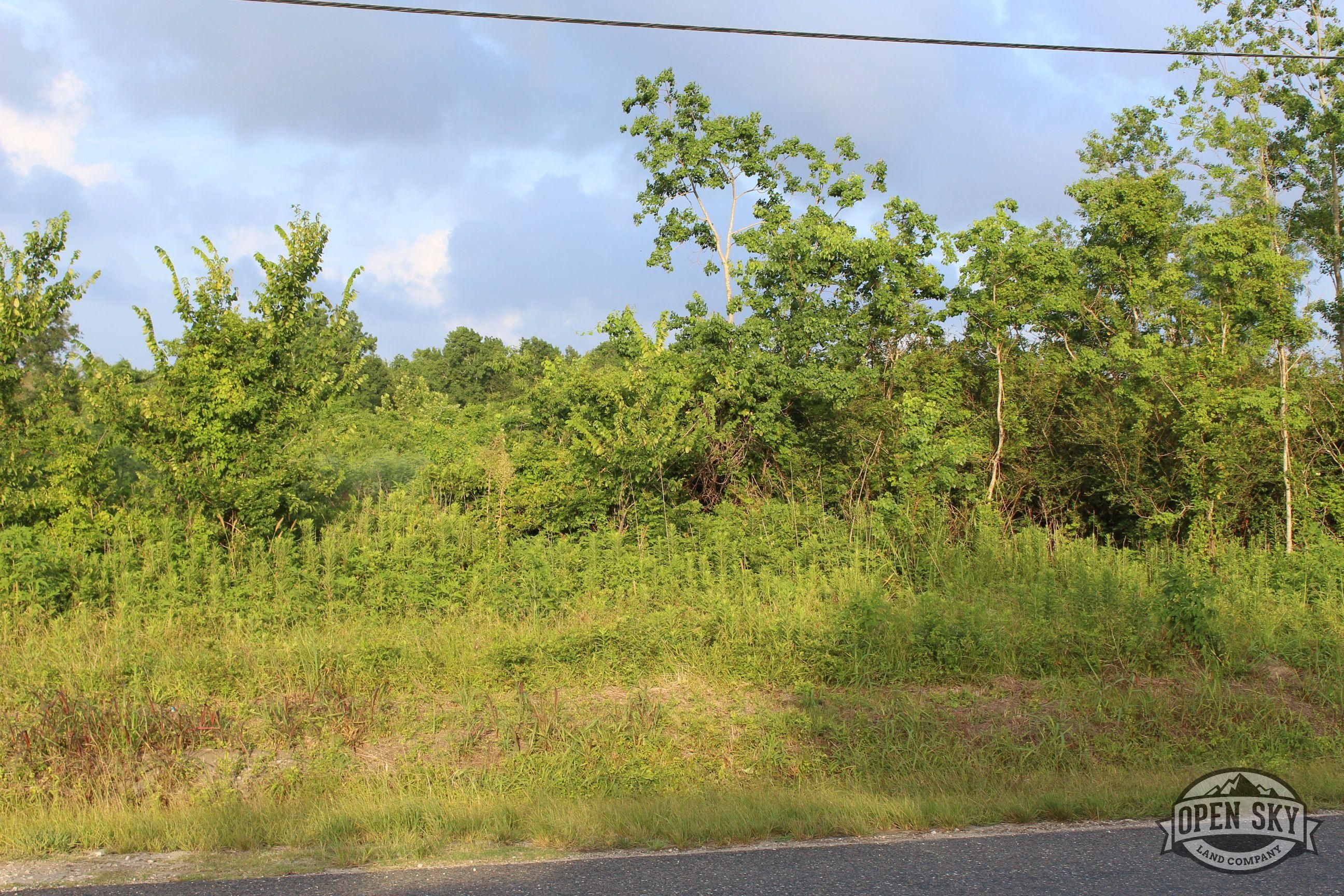 5 Acres, TBD 0 FM 616, Blessing, TX 77419 | Land and Farm