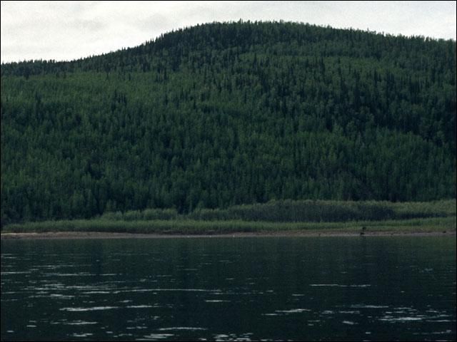 11.5 Acres, Lot B Nowitna River, McGrath, AK 99627 | Land and Farm