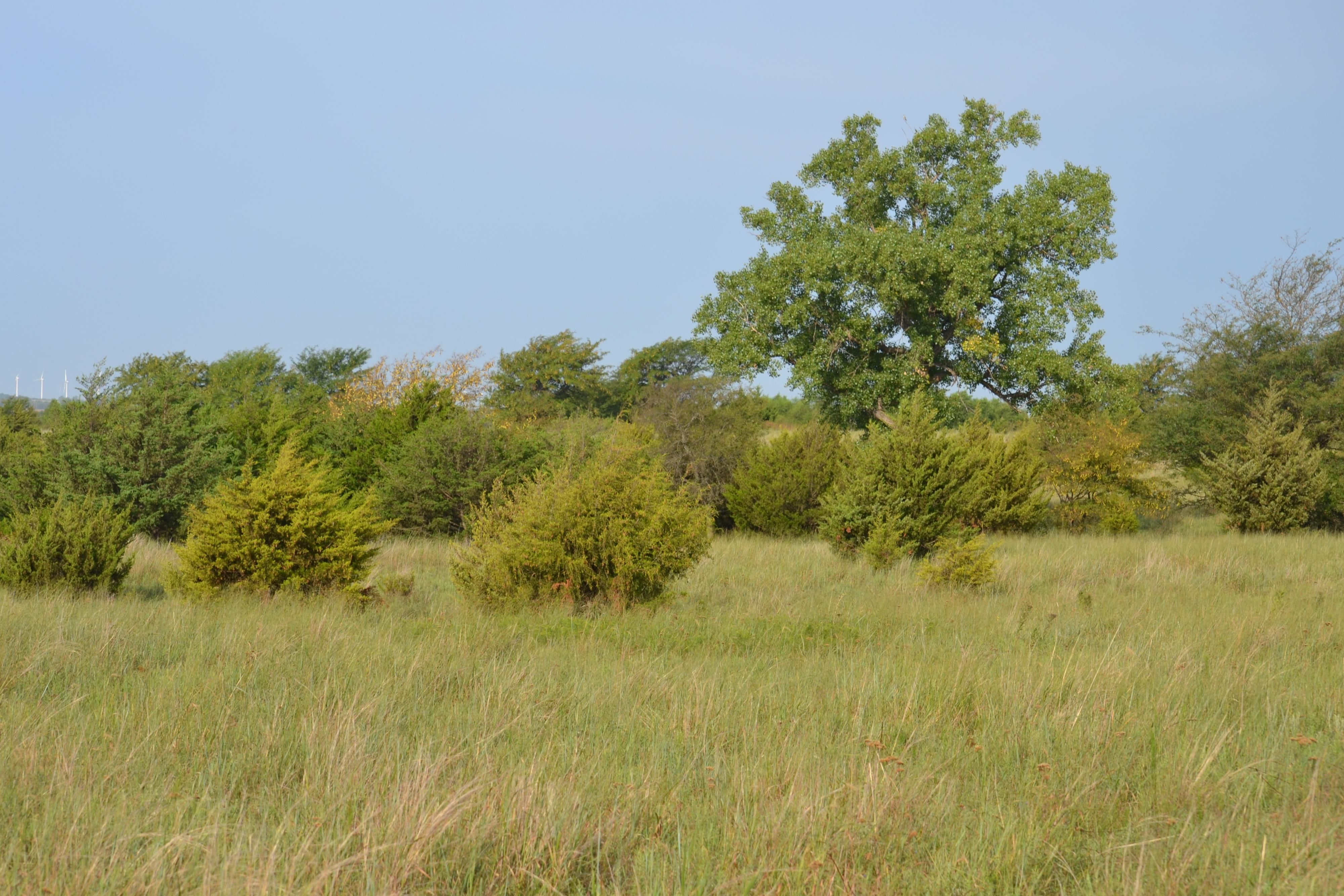 SE 140th St., Spivey, KS 67142 | Land and Farm