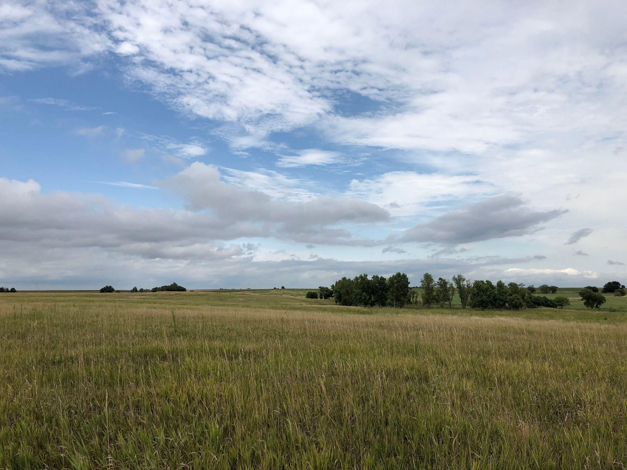 79.4 Acres, 0000 NW 110 Ave., Olmitz, KS 67564 | Land and Farm