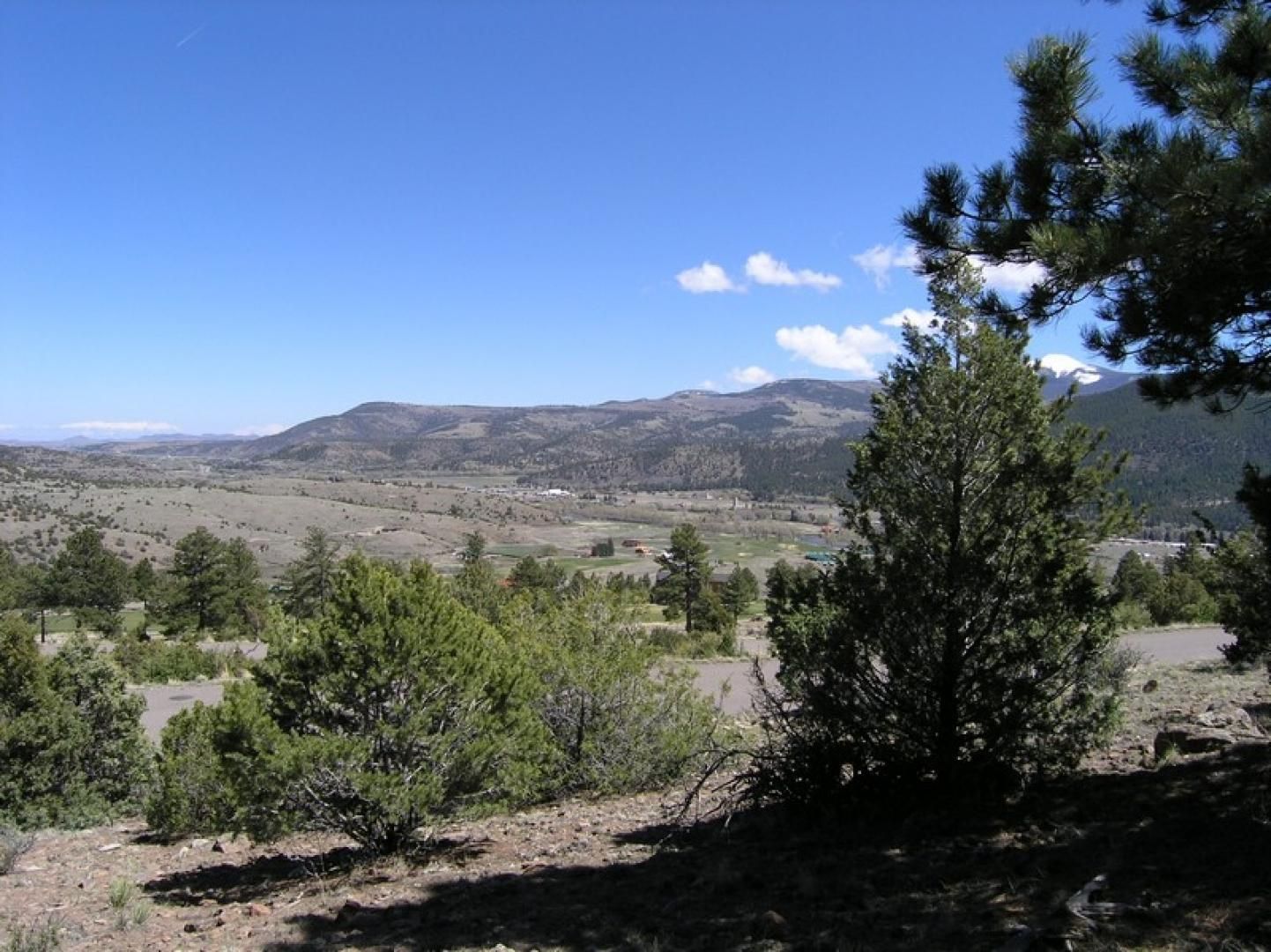 Lot 93 Ellingwood Dr., South Fork, CO 81154 | Land and Farm