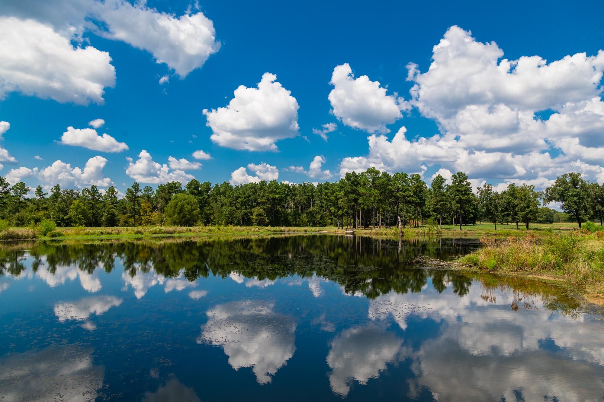 849 acres in Avery, TX, 75554 | Land and Farm