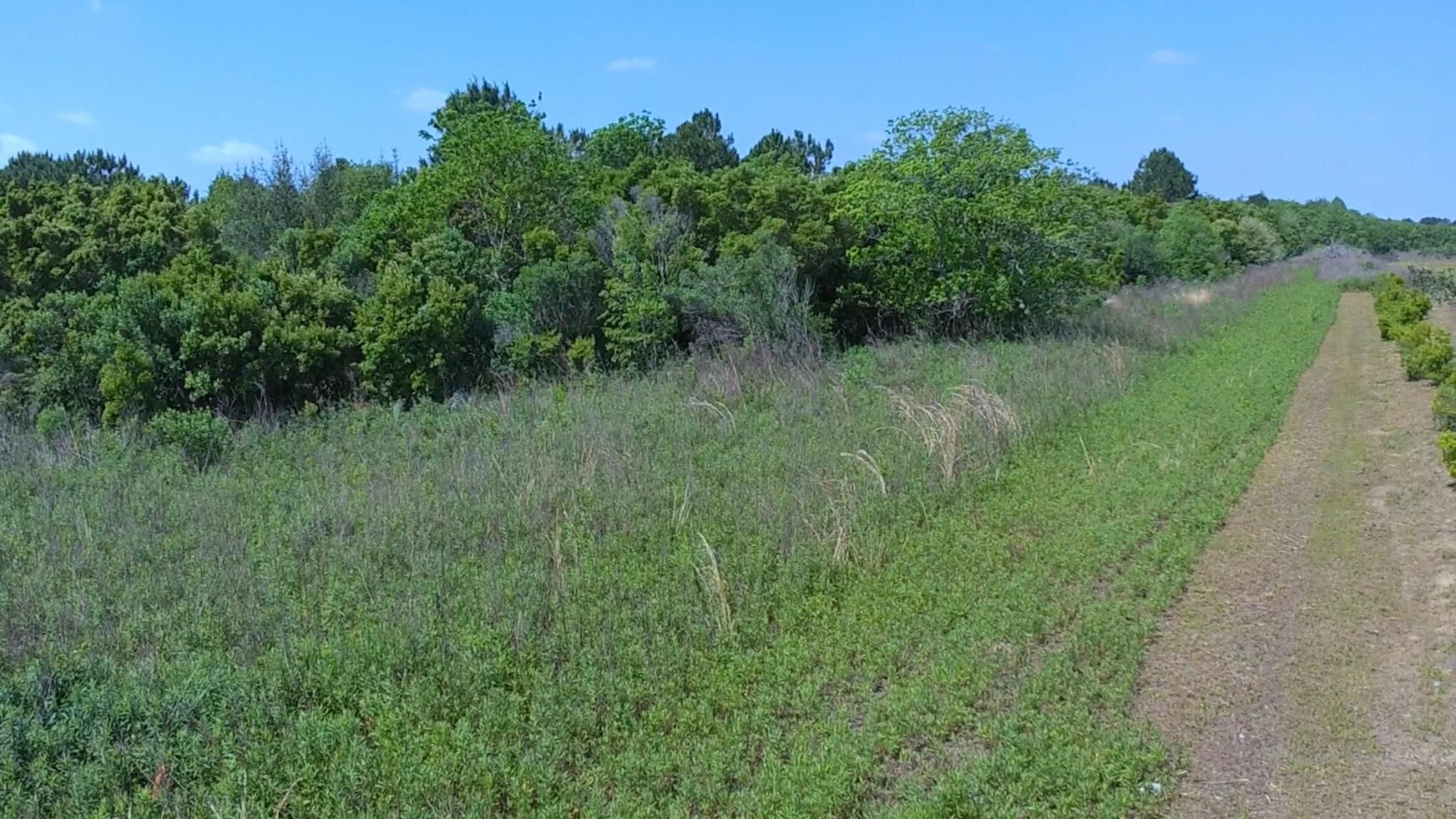 Foley Beach Express, Orange Beach, AL 36535 | Land and Farm