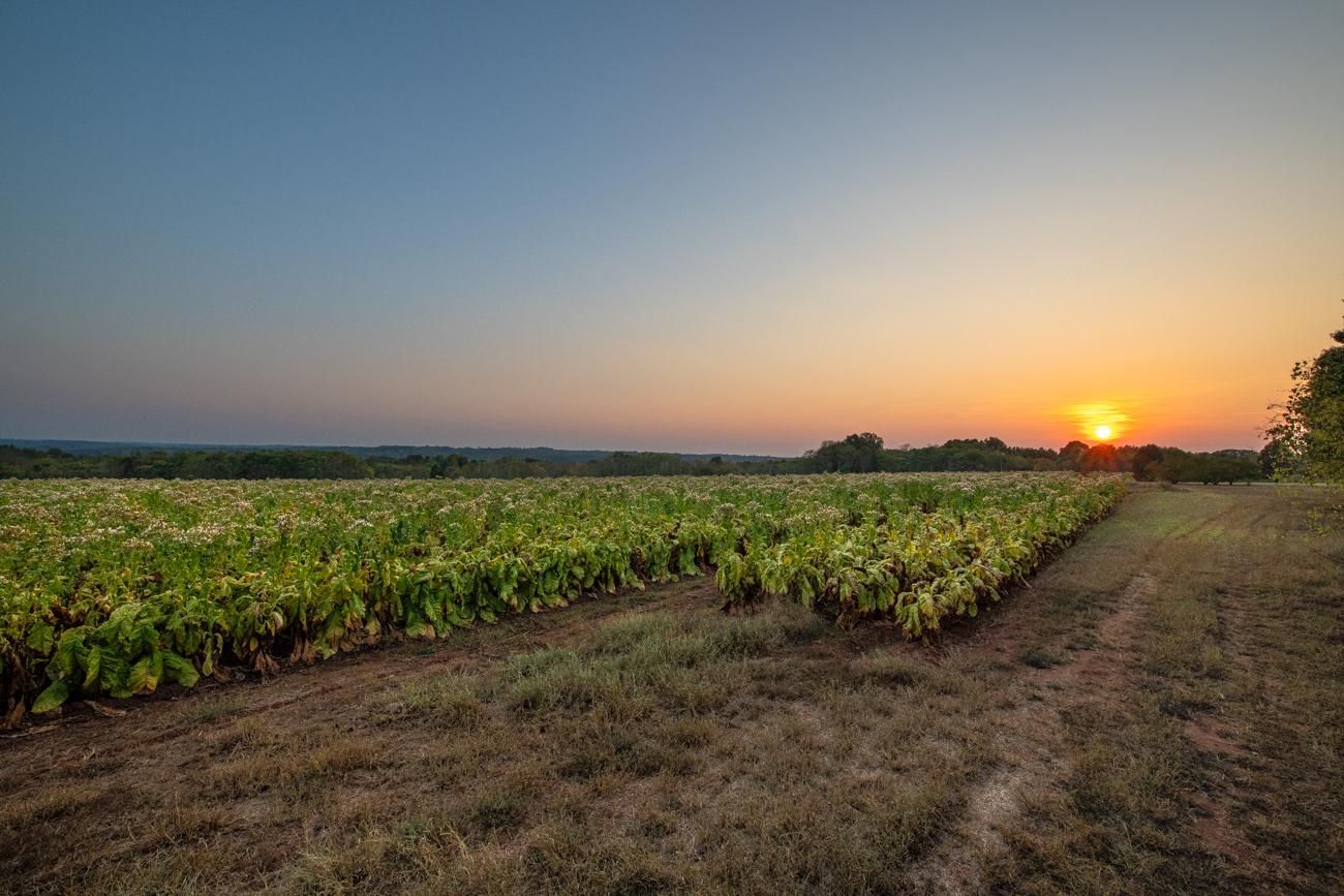 1425 Dix Road, Milton, NC 27305 | Land and Farm