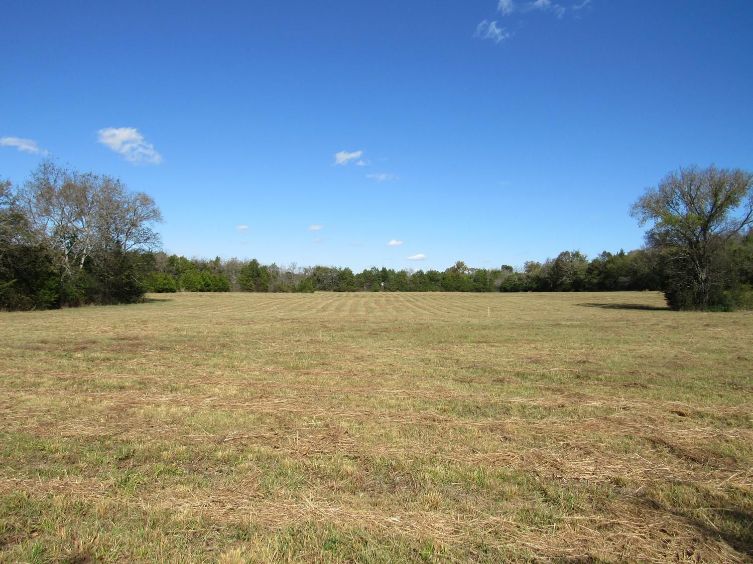 68 Acres, Lebanon, TN 37090 | Land and Farm