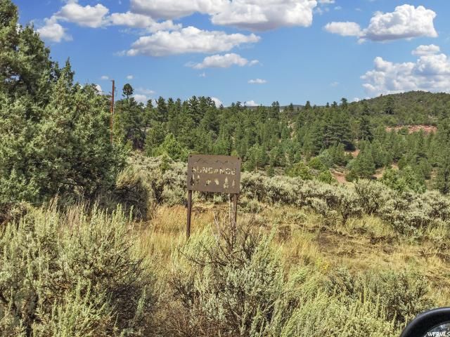 16215 E Diamond Mountain Ln, Vernal, UT 84078 | MLS: 1549930 | Land and ...