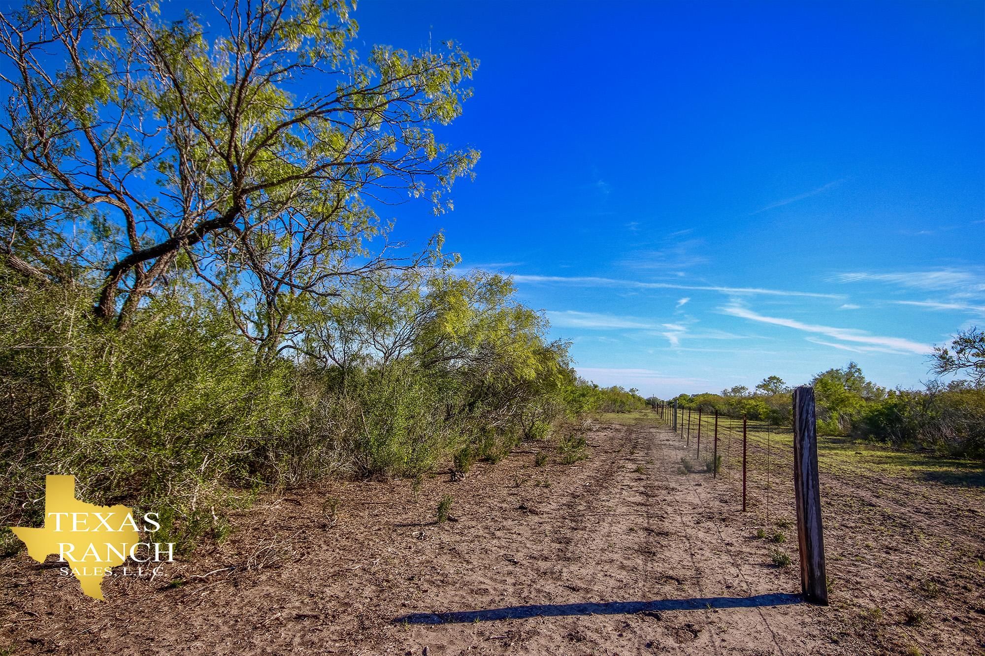 100 Acres, Three Rivers, TX 78071 | Land and Farm