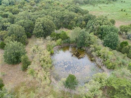 TBD SW 4230, Purdon, TX 76679 | Land and Farm