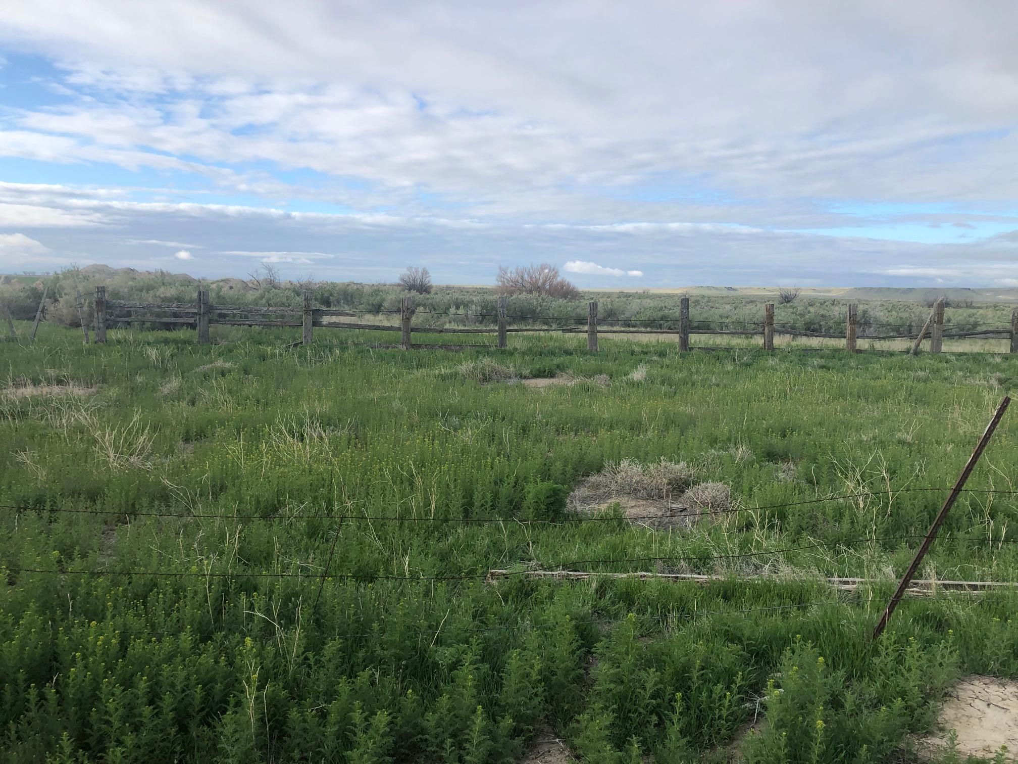 2800 W 6500 S, Deseret, UT 84624 | MLS: 1643218 | Land and Farm