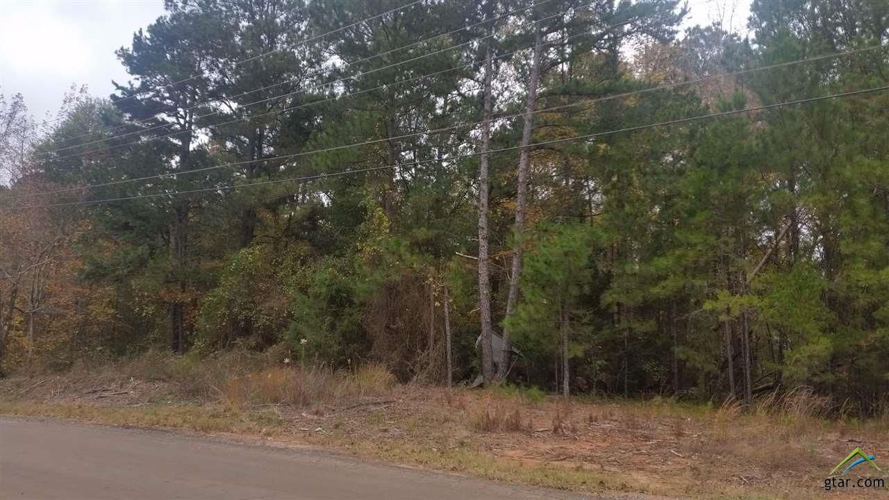 1.46 Acres, 722 S Front St, Overton, TX 75684 | Land and Farm