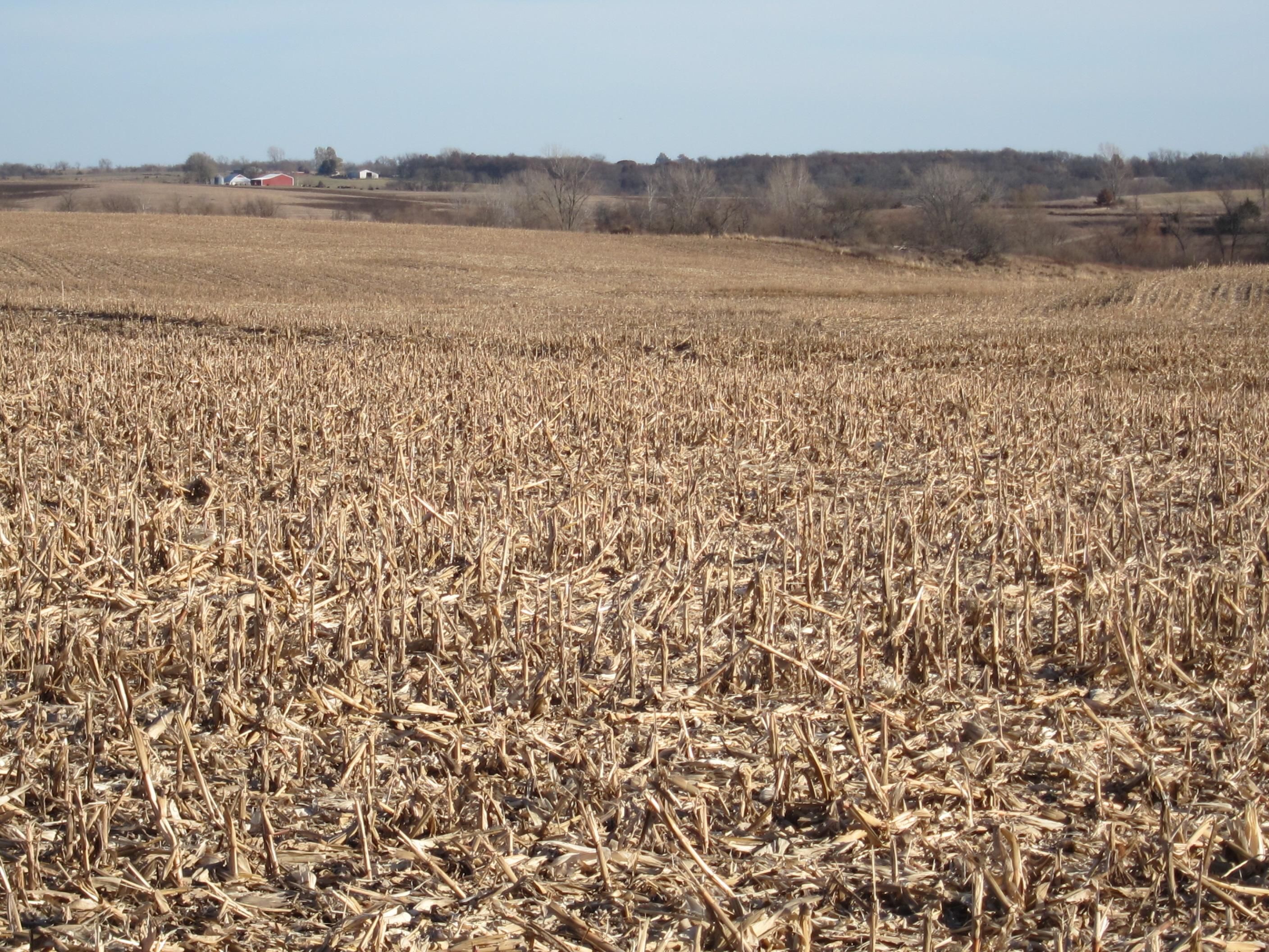 268 acres in Chariton, IA, 50049 | MLS: 20176681 | Land and Farm